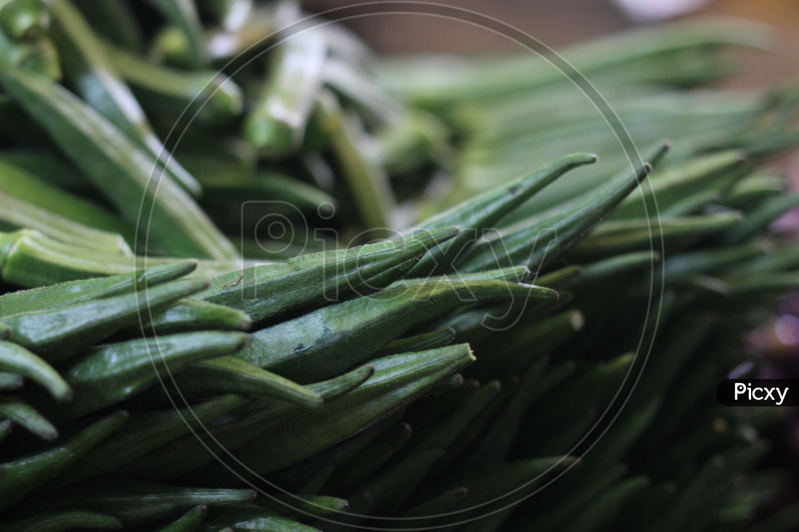 Image of Bendi or Ladys Finger at Vegetable Market-KV122264-Picxy