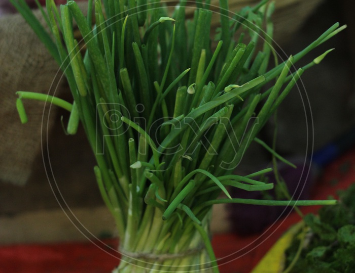 Image of Onions Leaves at Vegetable Market-EM749824-Picxy