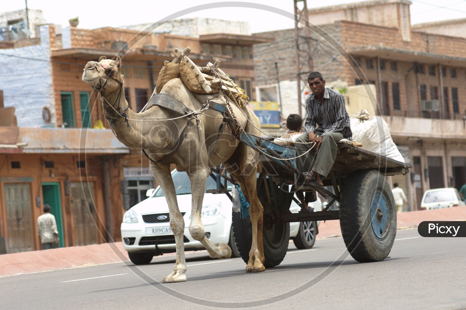Image of Camel Carts-WC675994-Picxy