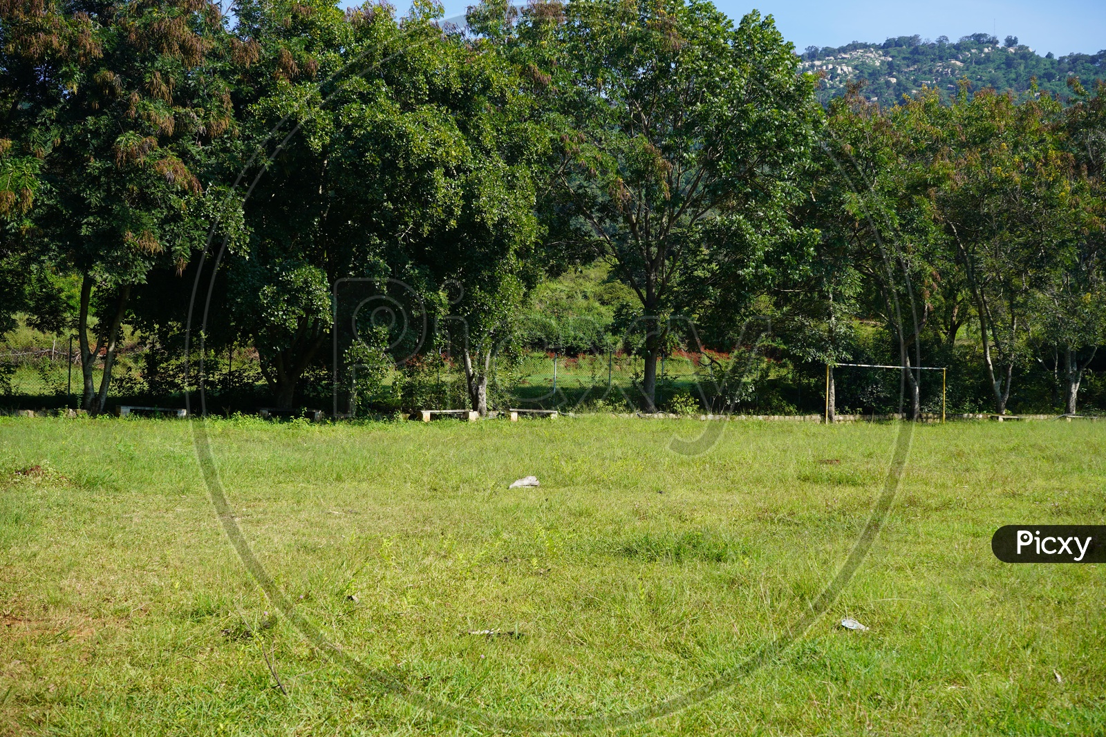 Image of natural Ground-YC054996-Picxy