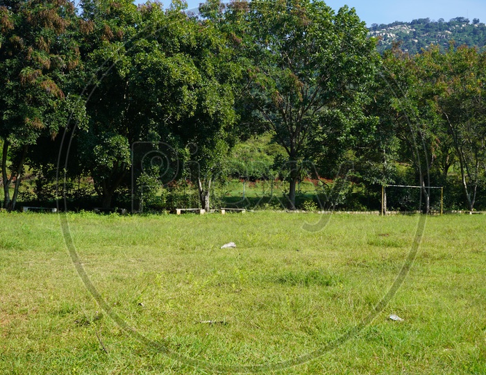 Image of natural Ground-YC054996-Picxy