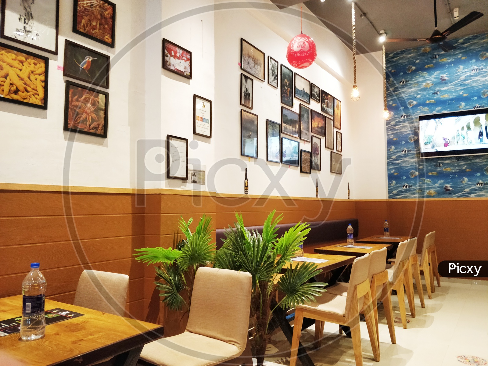 Image of A restaurant with nice ambience-MY704627-Picxy