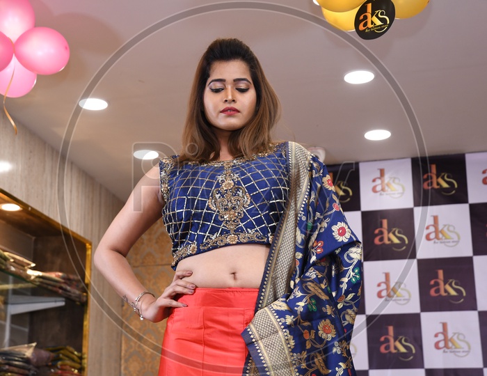 Image of Showcasing Indian tradition-PV649862-Picxy