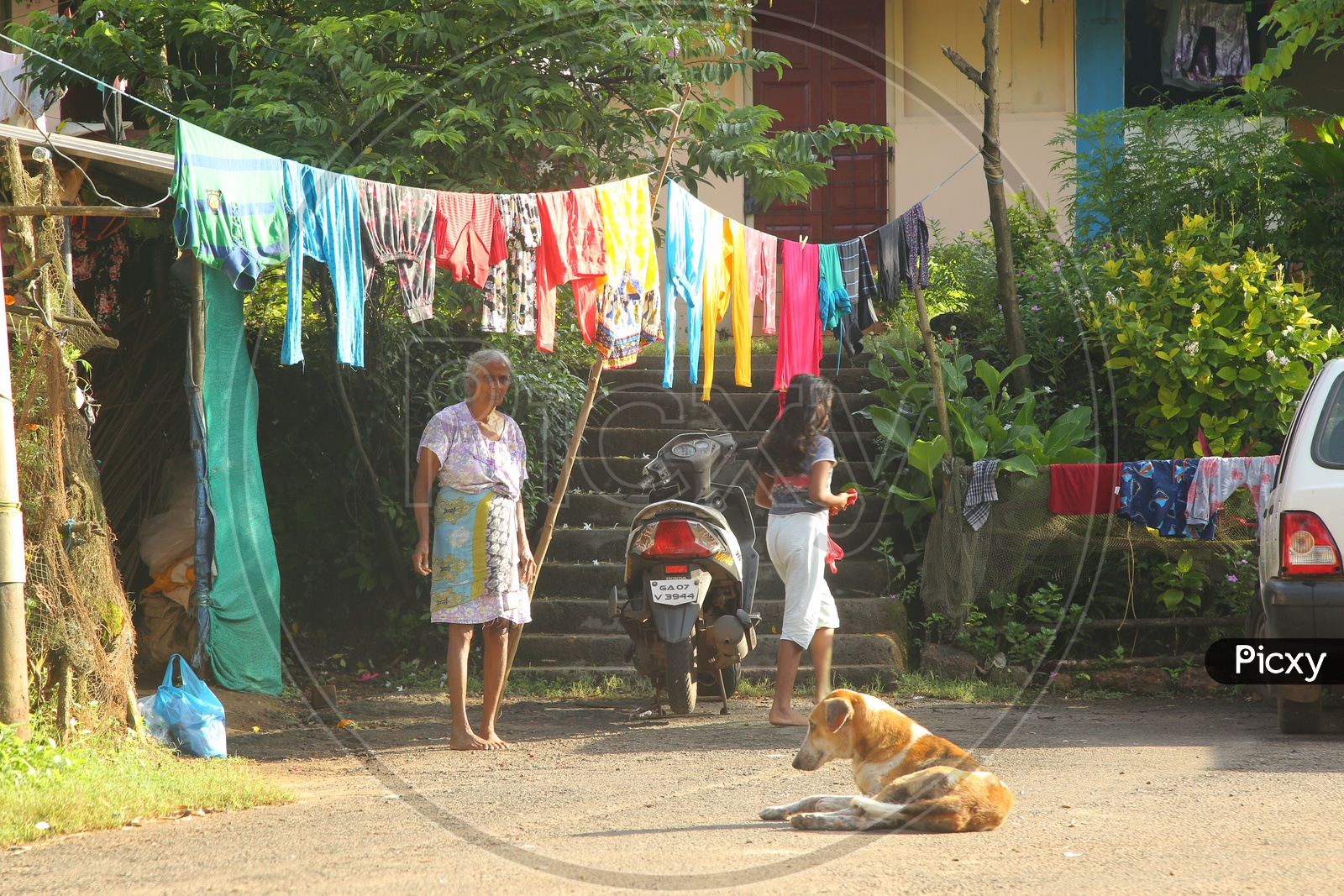Image of A Konkani Woman Drying Clothes To Sun Shade In Local Goa ...
