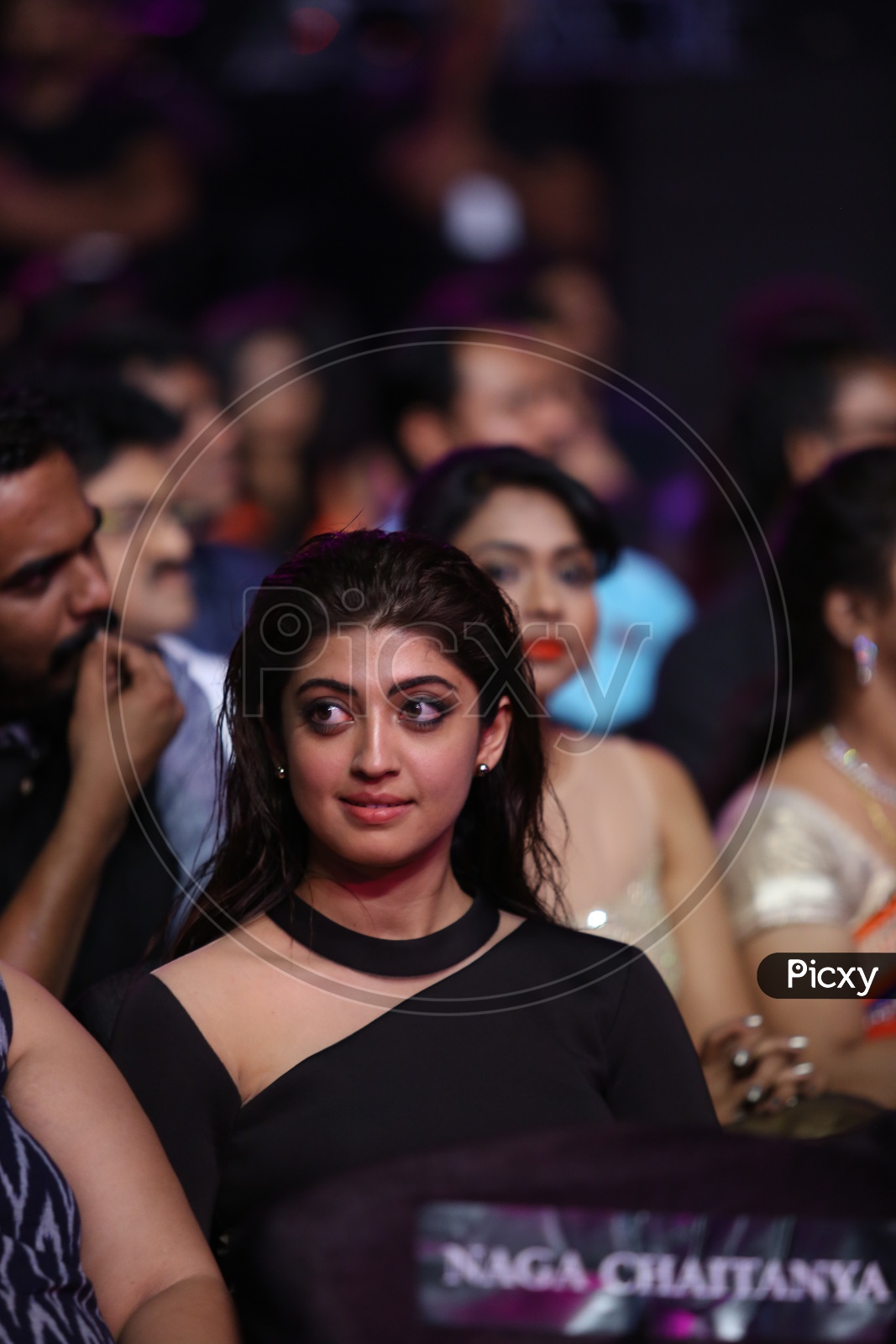 Image of Actress Pranitha Subhash At Film Fare Awards Event-ZS218661-Picxy