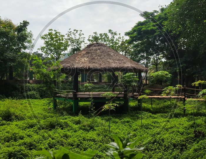 Image of A Thatched Hut in a Park With Green Trees And Sky-PM164898-Picxy