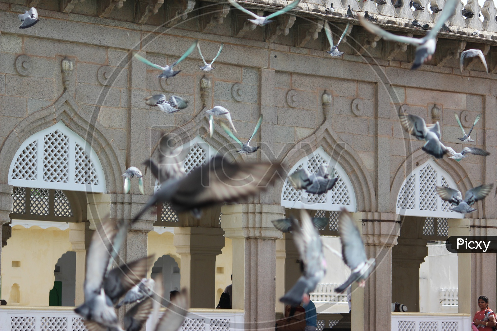 Image of Pigeons Flying As a Group In Mecca Masjid-FV393523-Picxy