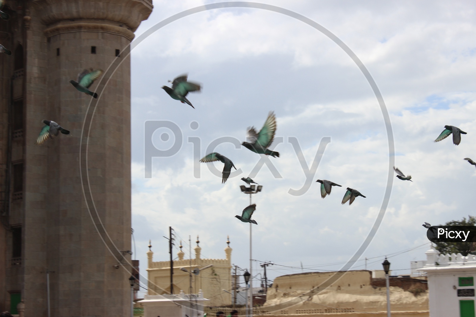 Image of Pigeons Flying At mecca Masjid-YO756456-Picxy