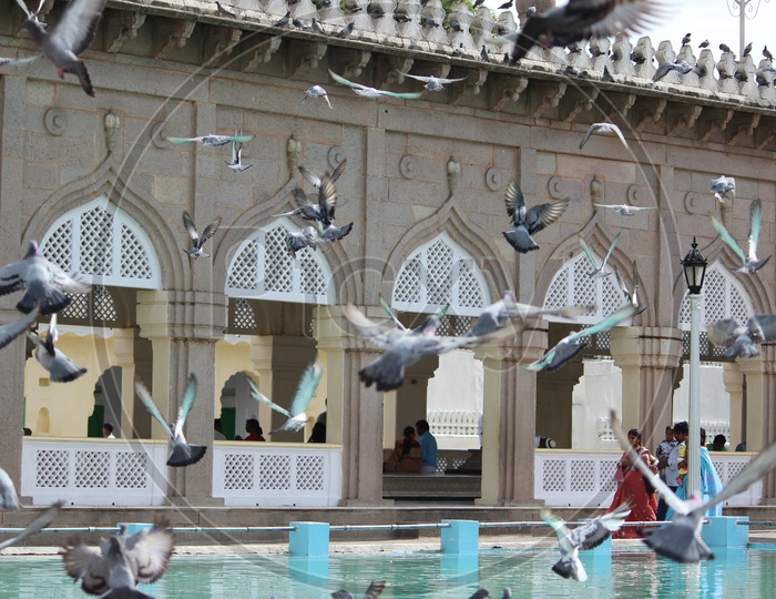 Image of Pigeons Flying As a Group In Mecca Masjid-SF536970-Picxy