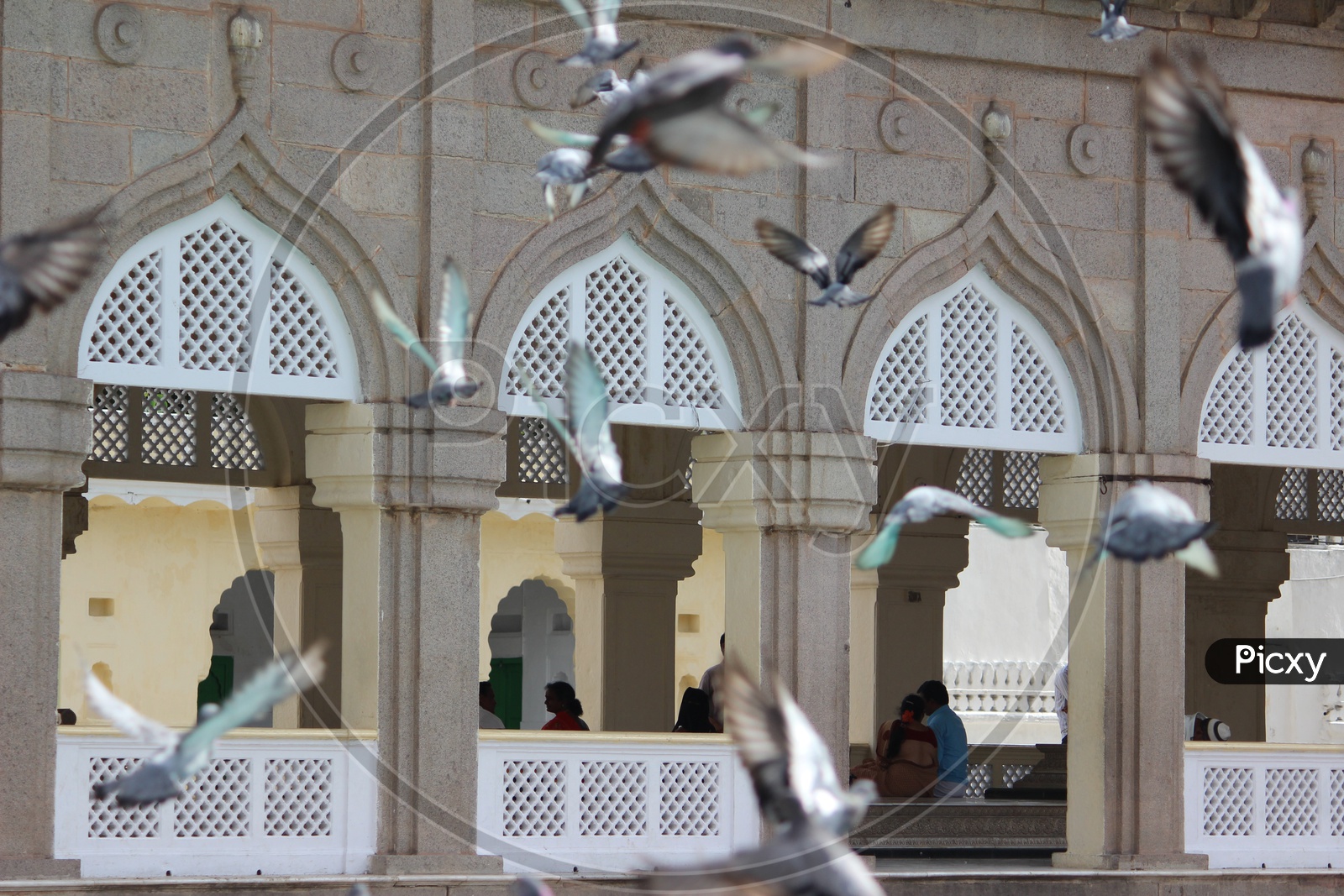 Image of Pigeons Flying As a Group In Mecca Masjid-OO871019-Picxy