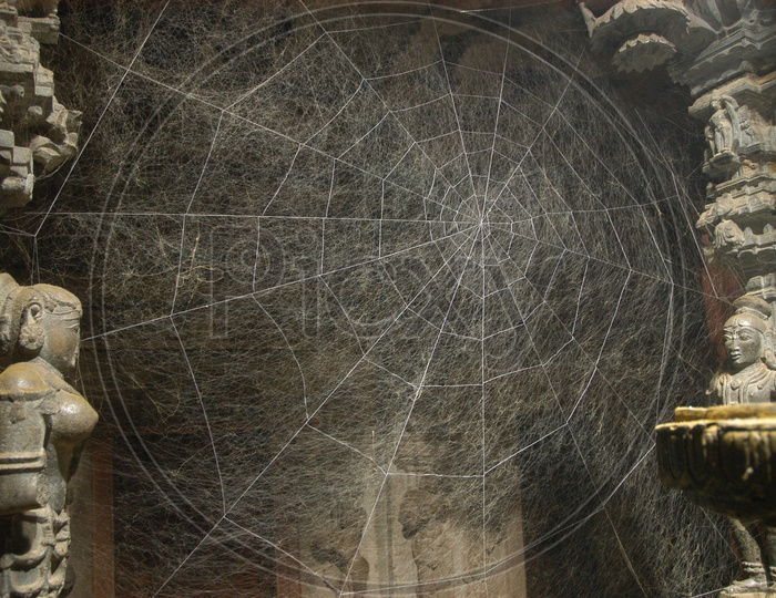 Image of Powdery or Spider Cob Web In an Ancient Hindu Temple-ZM647526 ...