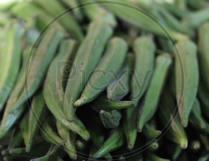 Image of Bendi or Ladys Finger at Vegetable Market-DT150750-Picxy