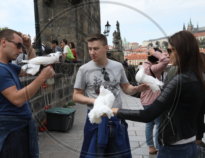 Image of Magician performing magic With Pigeons-AV879632-Picxy