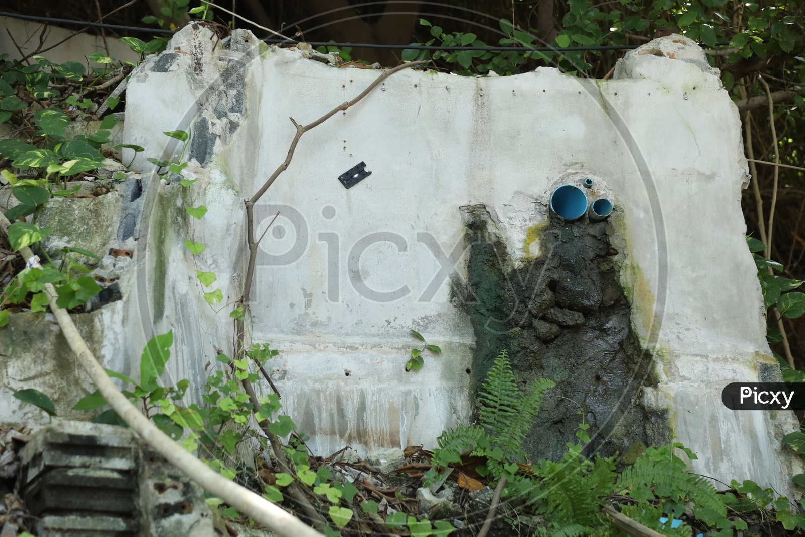 Image of Algae Formed at a Water Vent From Pipes on a wall-HM477235-Picxy