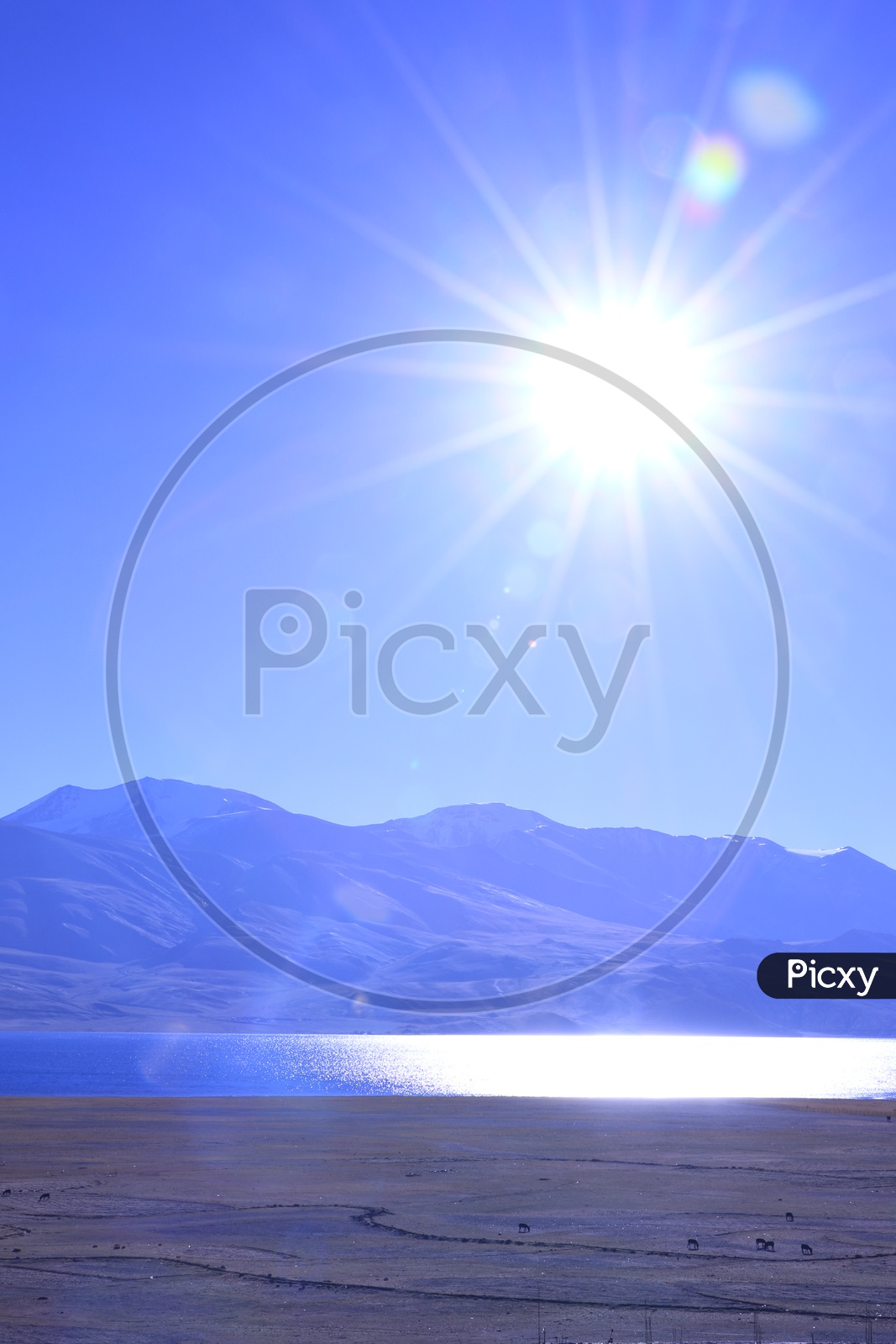 Image of A View of A River valley With Sun Shining Bright-PF885817-Picxy