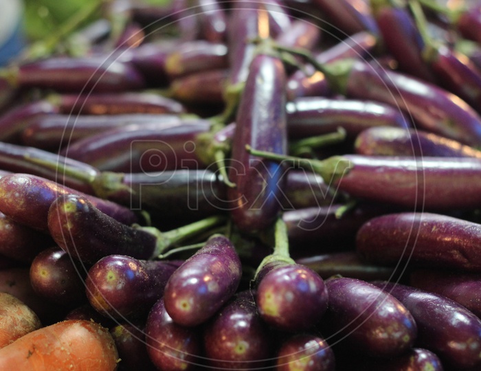 Image of Brinjal at Vegetable Market-ZO353037-Picxy