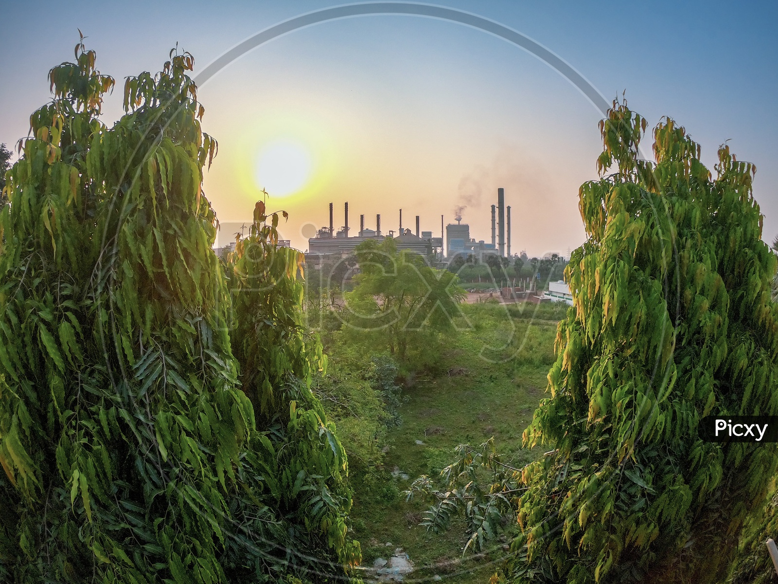 Image of International Paper Mills in the midst of trees-XC189780-Picxy