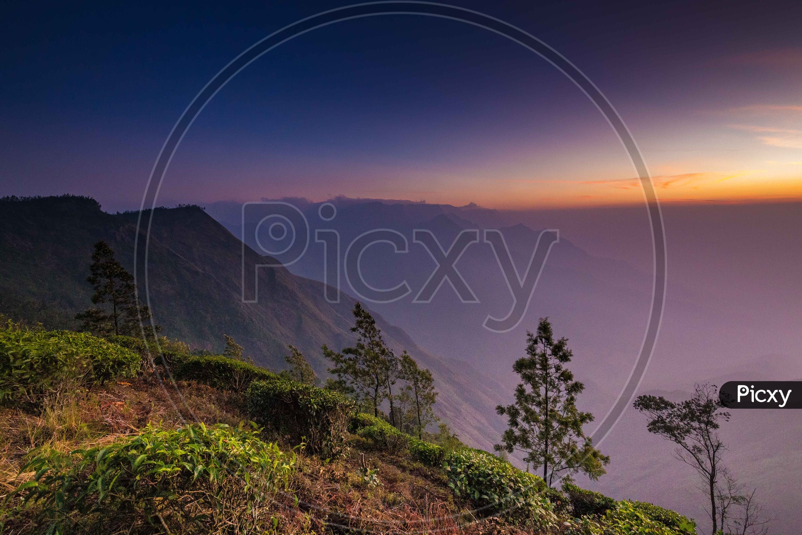 Image of Landscapes of Munnar - Sunrise, Mountains & Greenary-YL773417 ...