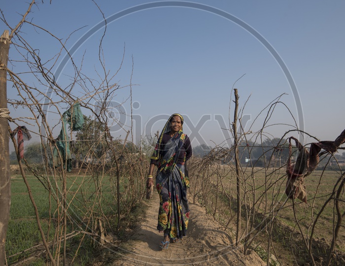 Image of Old woman walking in Fields-OZ637837-Picxy