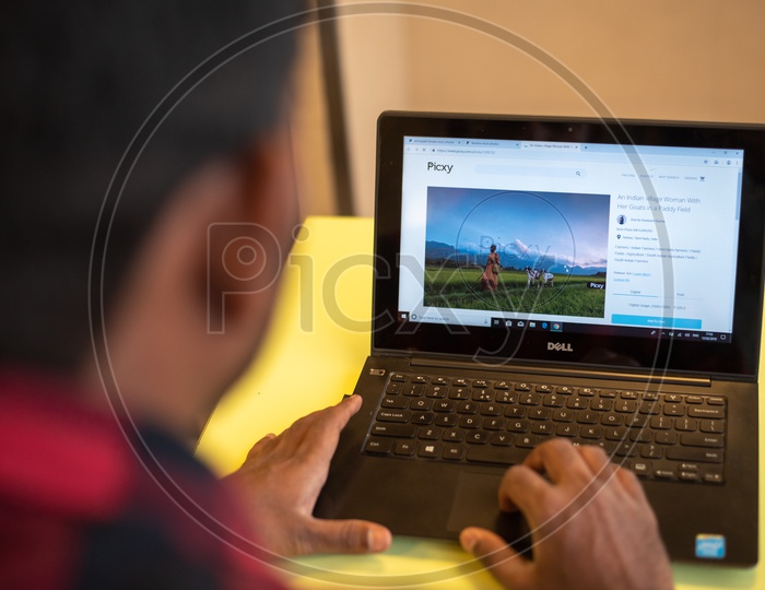 Image of A client browsing Picxy.com a stock photo company-IE316743-Picxy