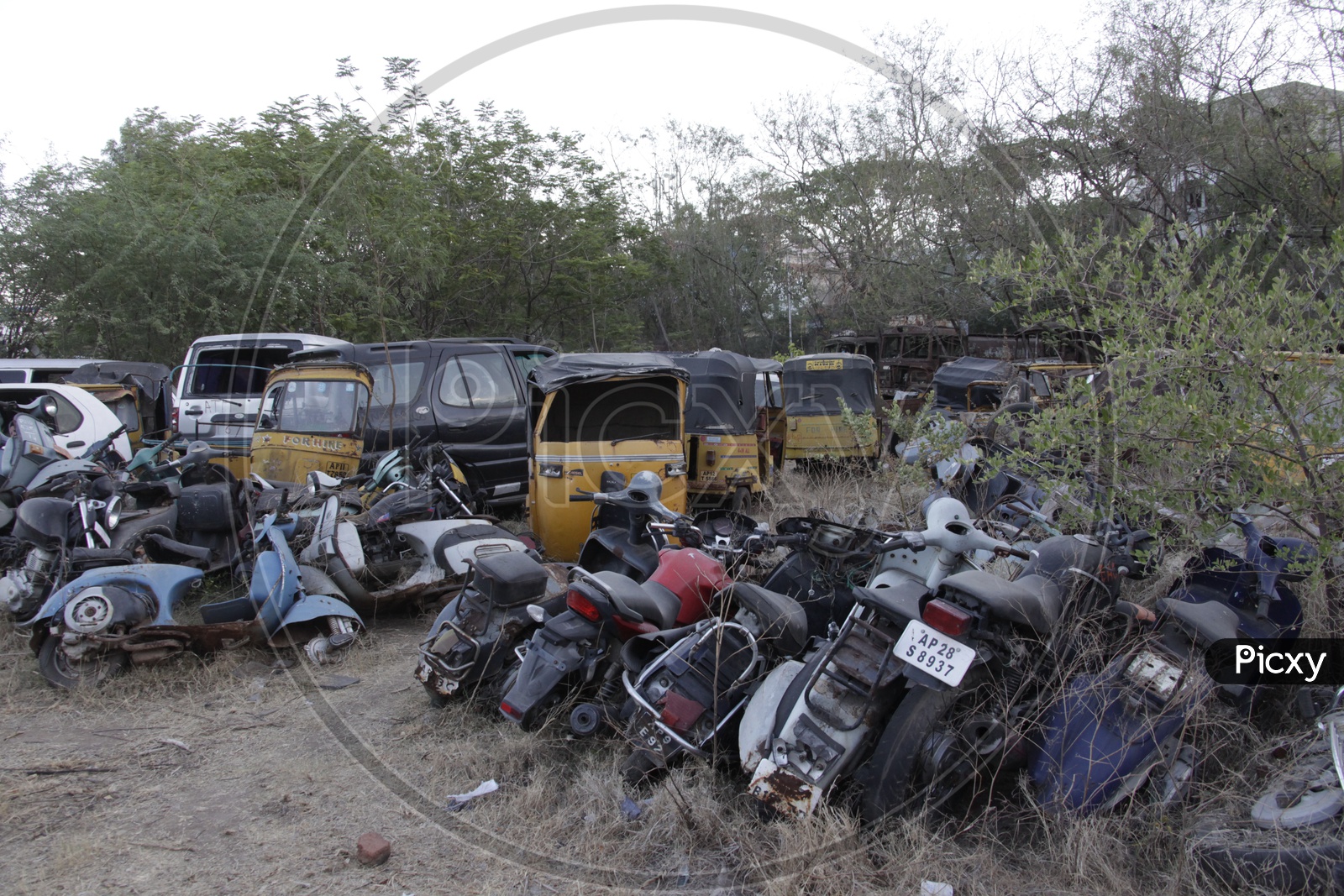 Image of Old Rusted And Wrecked Scooters In a Place-JE706294-Picxy