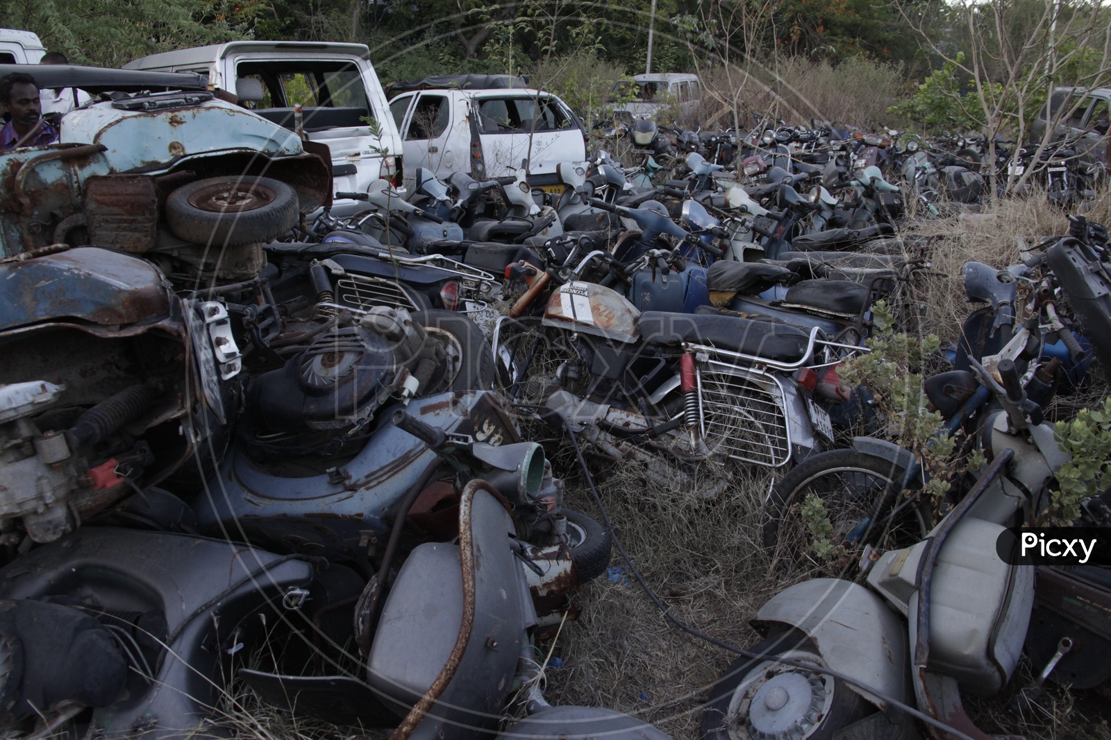 Image of Old Rusted And Wrecked Scooters In a Place-AL591477-Picxy