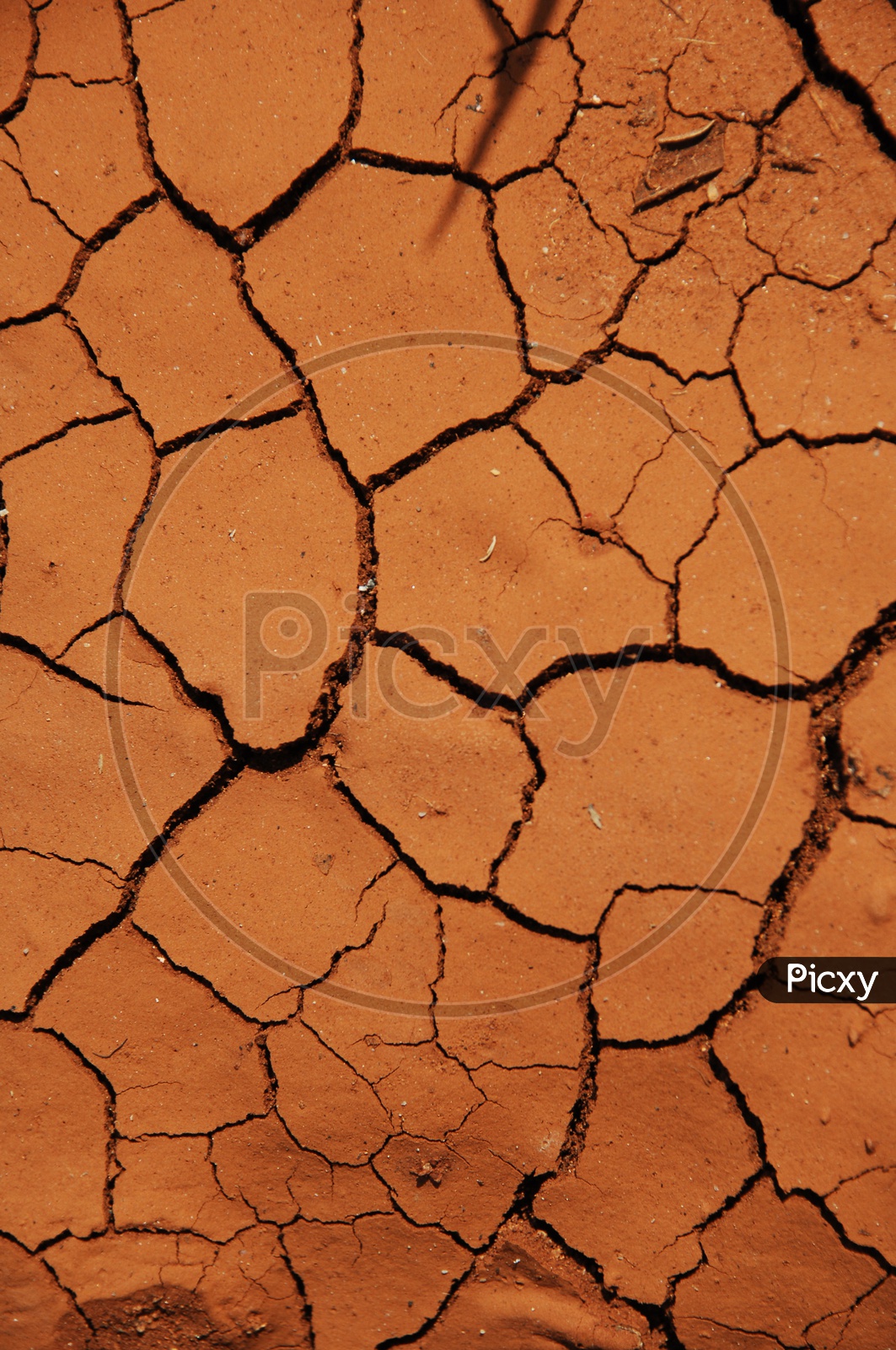 Image of Mud Texture in a FieldsMud Texture in a Fields, Draught ...