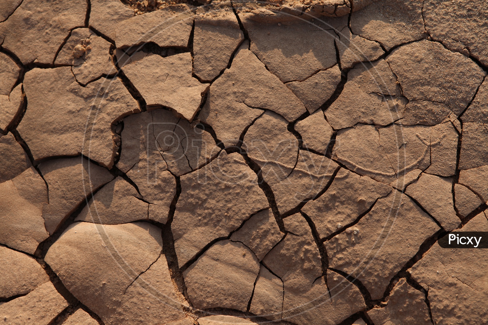 Image of Mud Texture in a FieldsMud Texture in a Fields, Draught ...