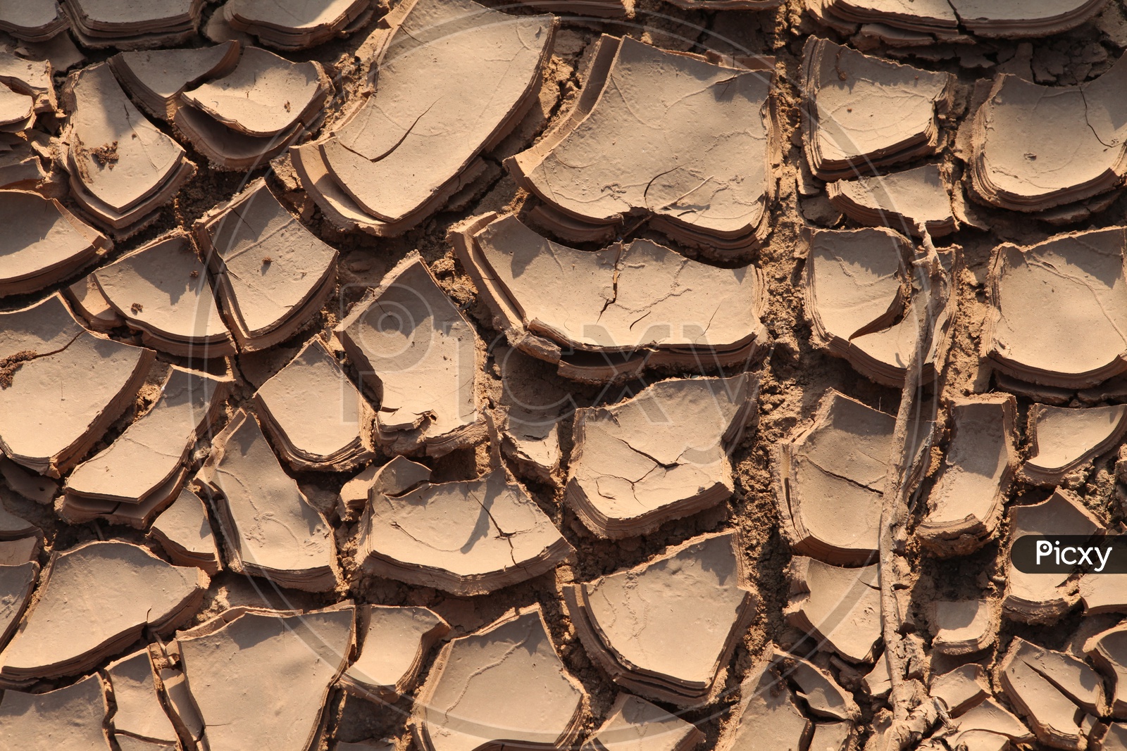 Image of Mud Texture in a Fields, Draught, Famine-PO939946-Picxy