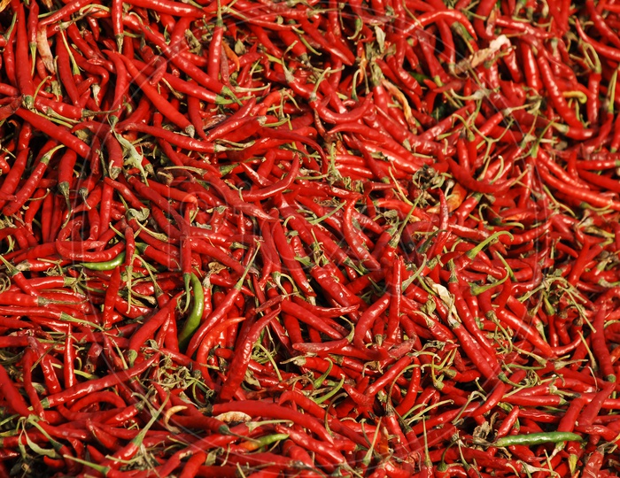 Image of Dried Indian red Chillies or Guntur Mirchi-MQ229200-Picxy