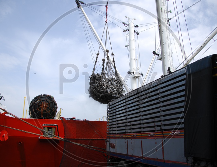 Image of Cranes Carrying The Net Full Of Fish in a Fishing Harbor ...