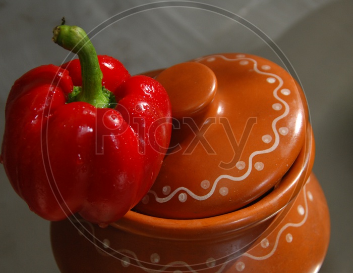 Image of Red bell pepper on a pot-SB929885-Picxy