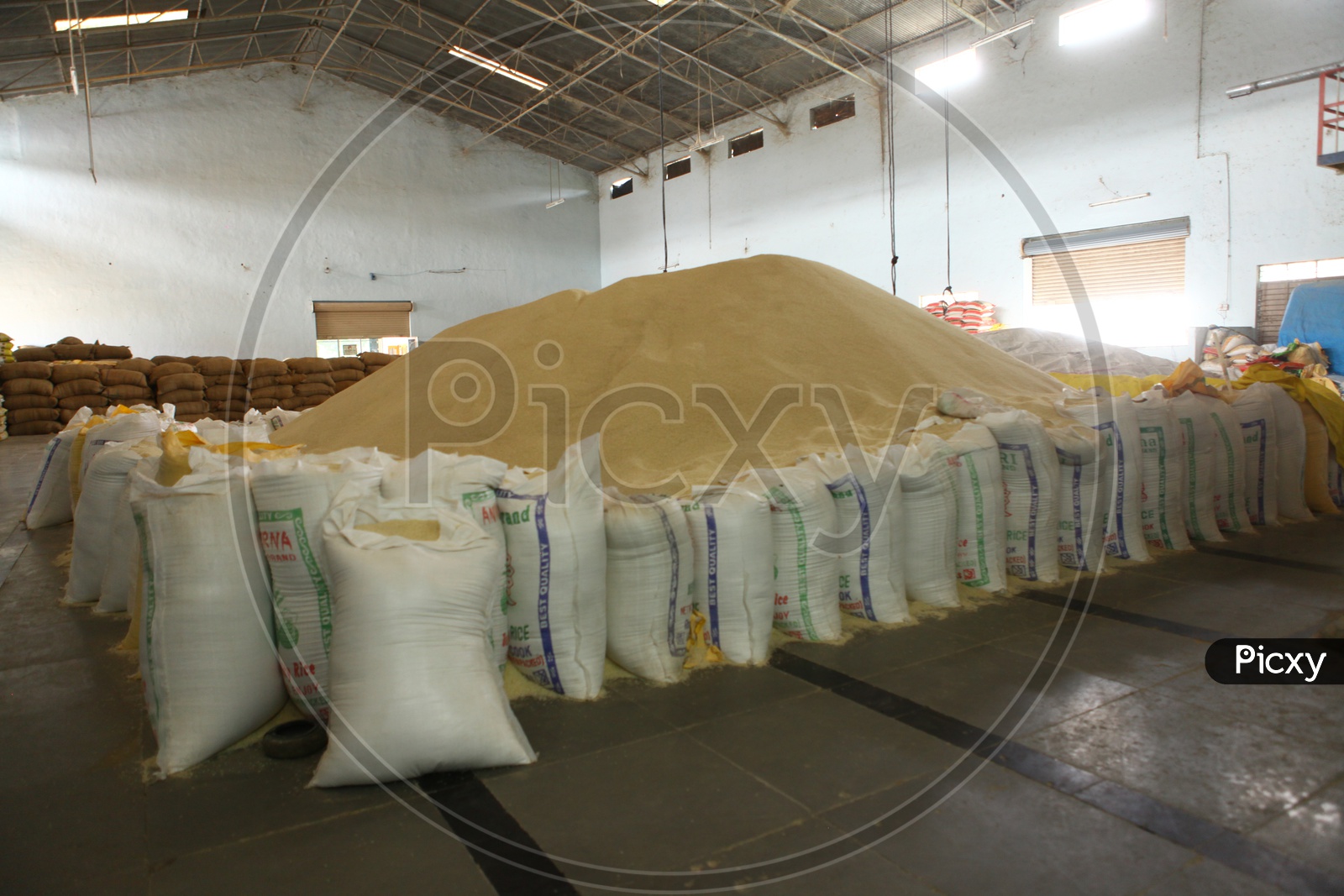 Image of A big rice heap in Godown lined with rice bags in a rice mill ...