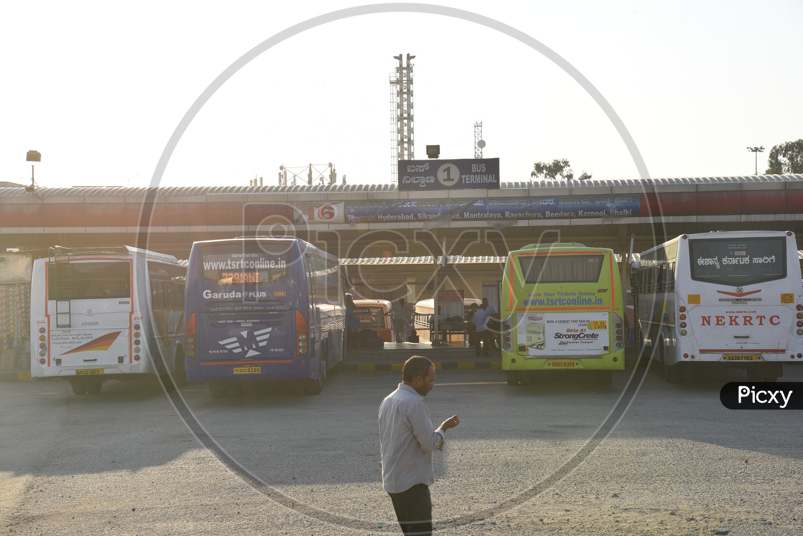 Image of TSRTC and NEKRTC buses at terminal 1 in Majestic bus station, Bangalore-PN282312-Picxy