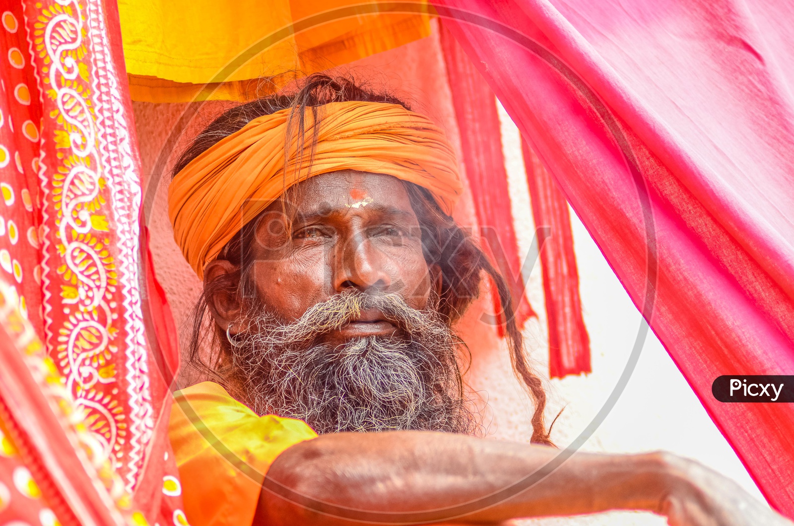 Image of Portrait of Indian Baba Or Sadhu-FP845517-Picxy