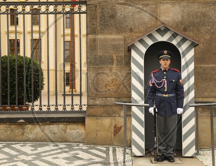 Image of Castle guard in front of a castle-WO665845-Picxy