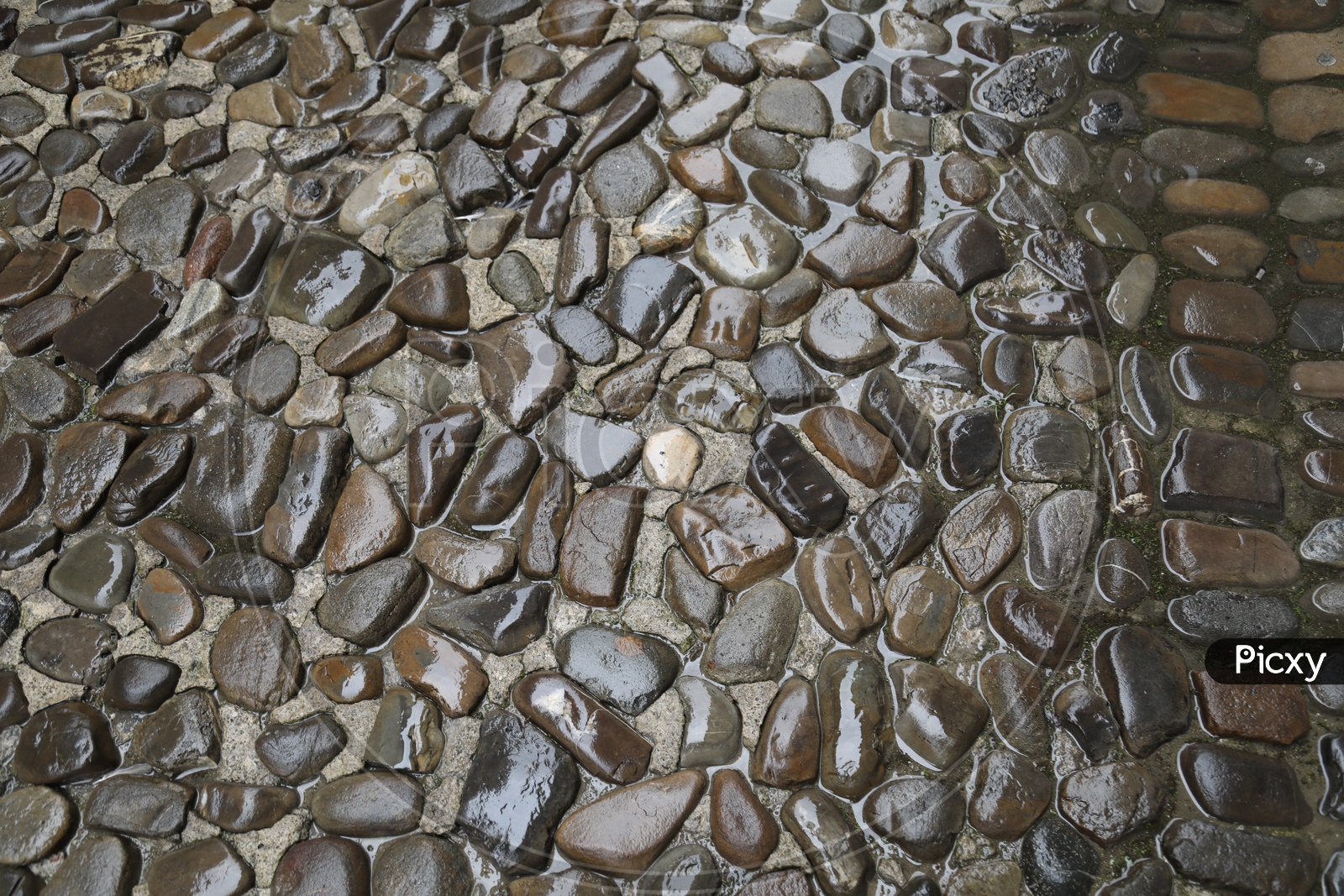 Round Cobblestone Texture
