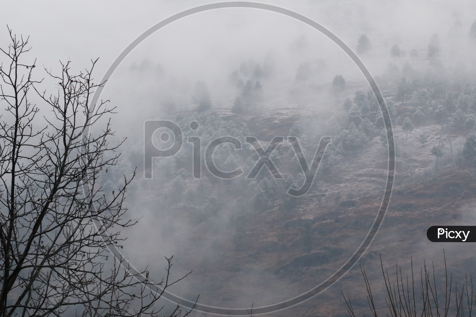 Image of Landscapes of Manali - Snow capped Mountains, houses & trees ...