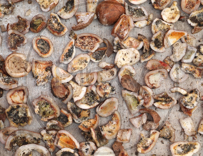 Image of Sun dried coconut pieces-GY966165-Picxy