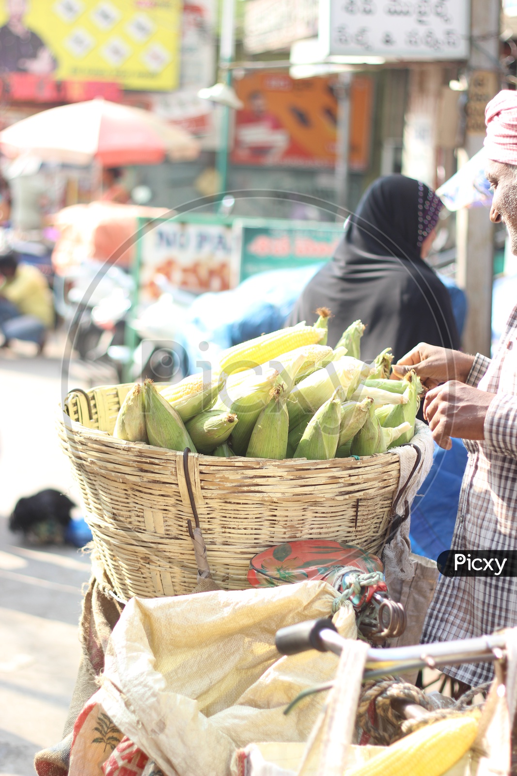 Image of Sweet corn vendor-SL978925-Picxy