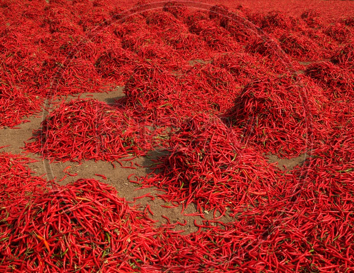 Image of Red Flower Decoration In a Palace-VW238083-Picxy