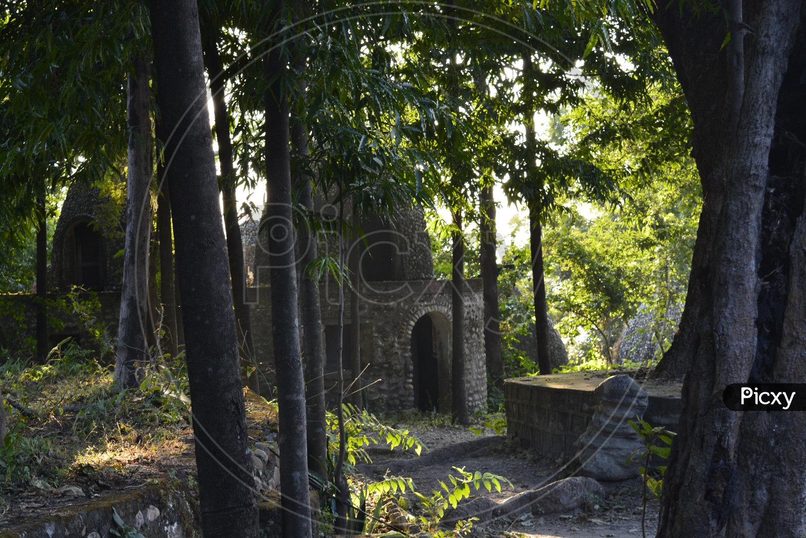 Image of ashramam at haridwar-IF807286-Picxy