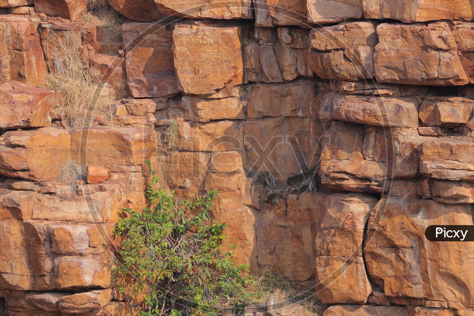 Image of Rock Structures-MT876099-Picxy