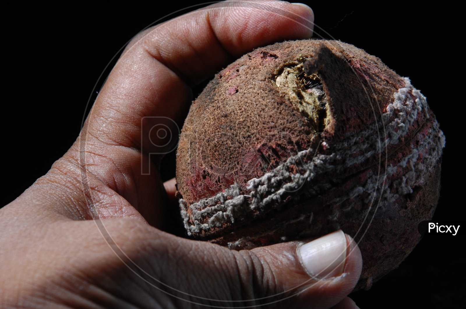 Image of A used and worn out cricket ball in hand-KM096937-Picxy