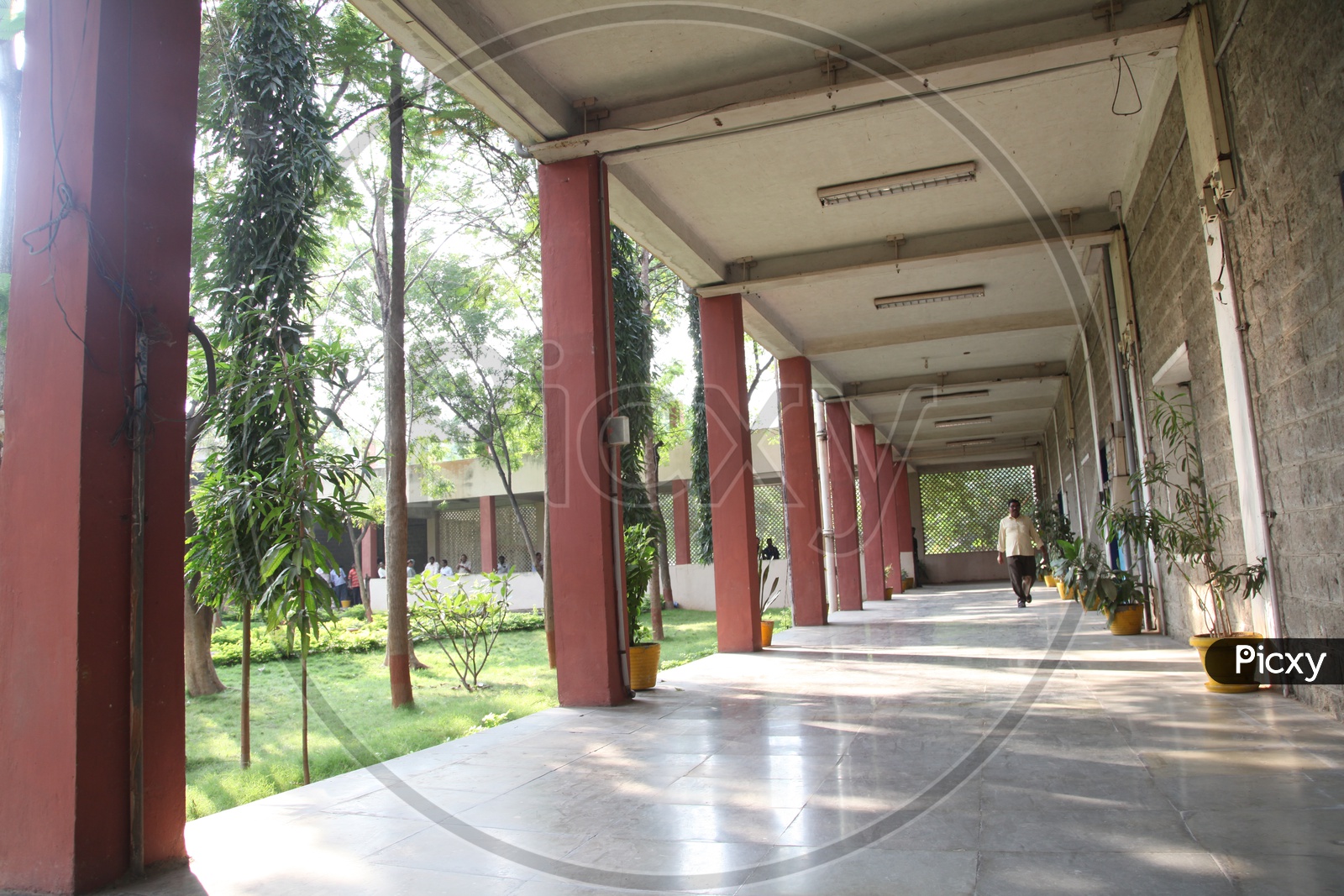 Image of Corridor of School/College-YO334824-Picxy