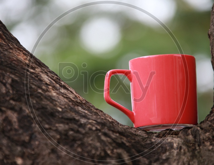 Image of Coffee Cup on a Tree Stem-MU945450-Picxy