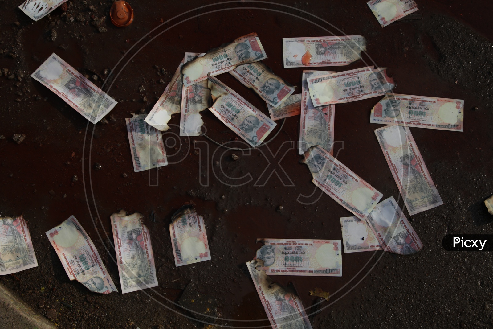 Image of Half burnt dispersed 1000 rupee notes-ZH550411-Picxy