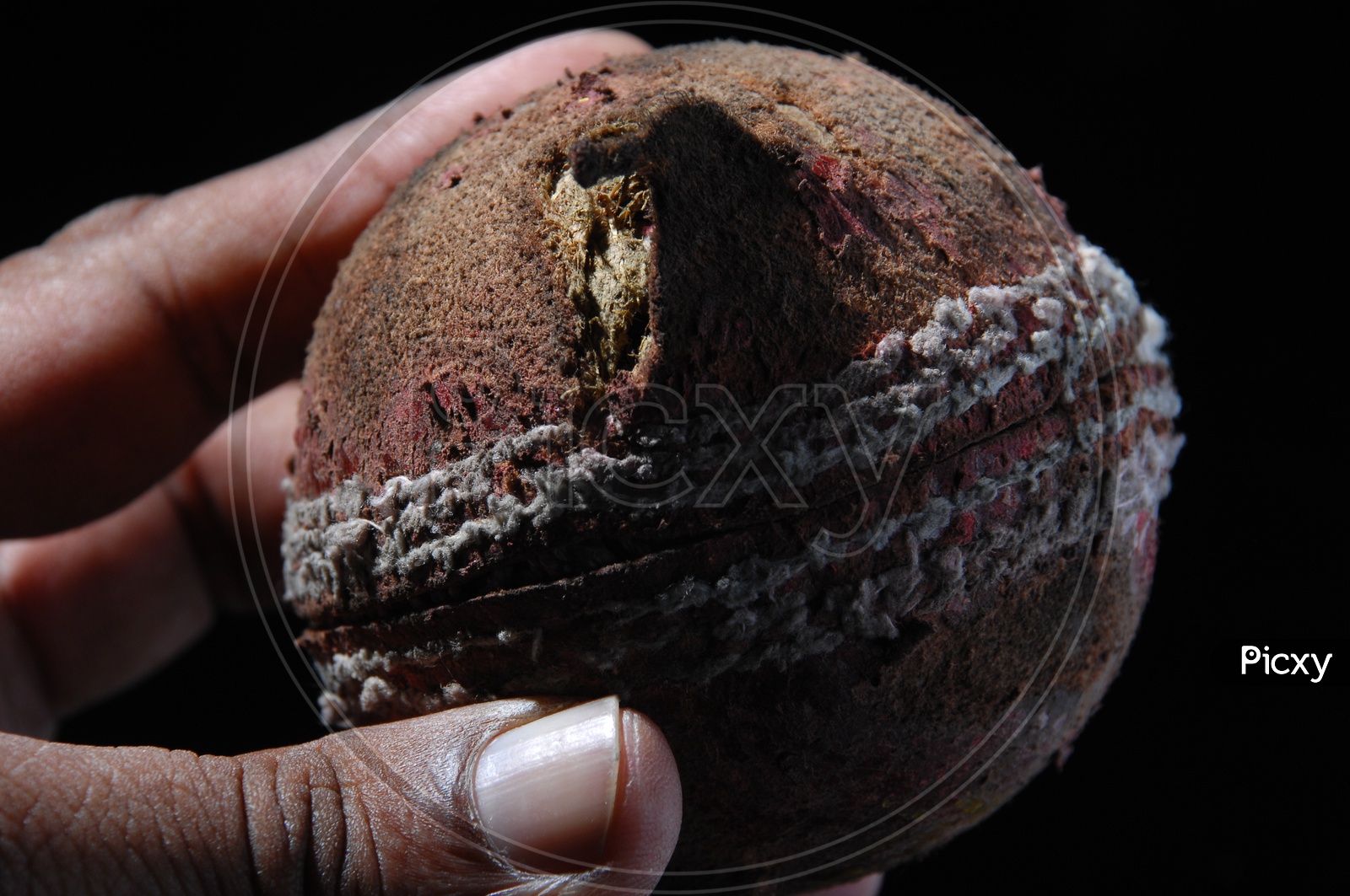 Image of A used and worn out cricket ball in hand-DU687072-Picxy