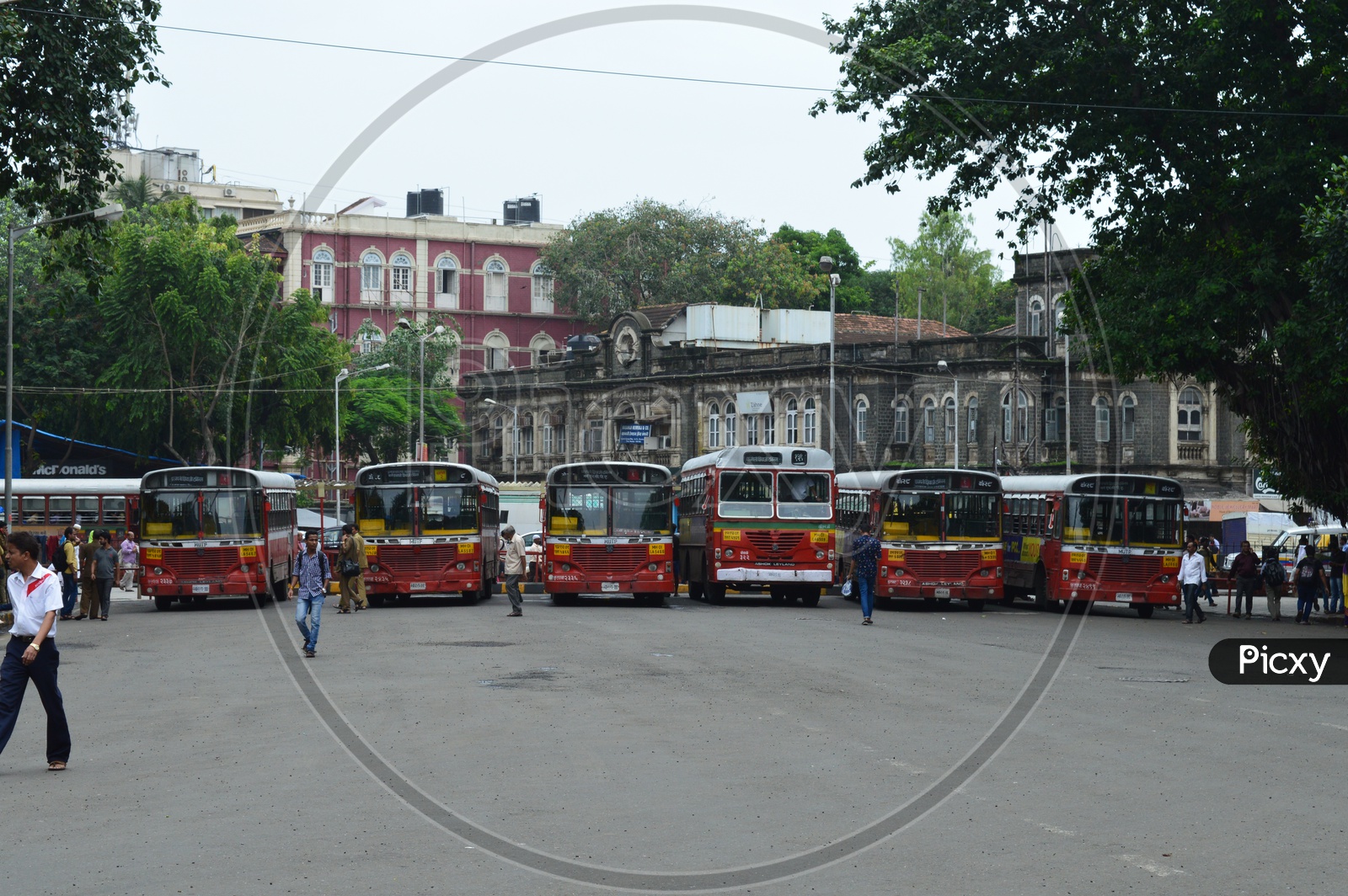 Image of Buses in the bus stand-WO107286-Picxy