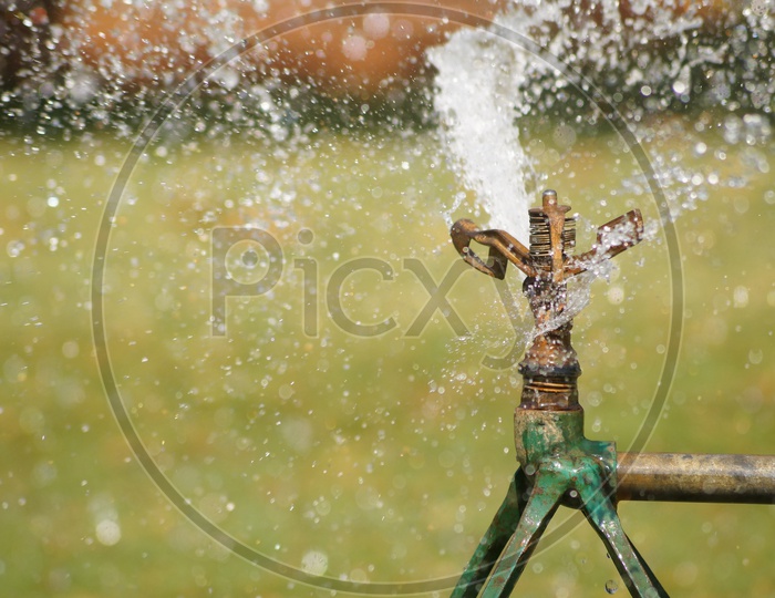 Image of Sprinkling water in the garden-ZR238781-Picxy